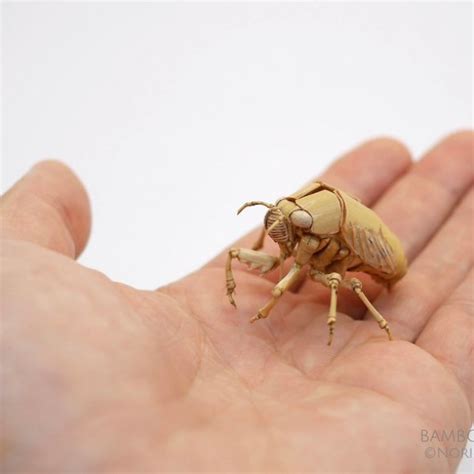 ბამბუკისგან დამზადებული მწერების რეალისტური ნიმუშები