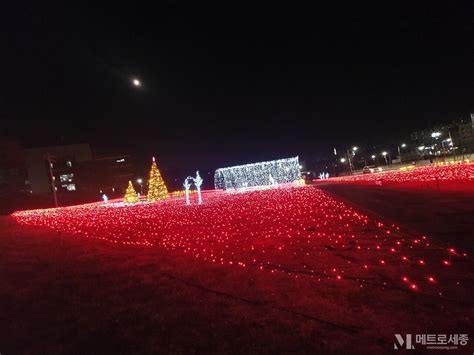 연말 맞아 고려대 세종캠퍼스에 등장한 예쁜 볼 거리