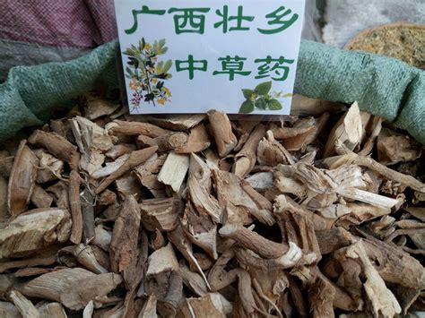 大青叶路边青的图片大青叶片的图片大青叶图片植物图片第11页大山谷图库