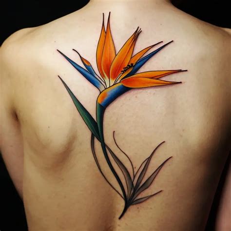 Bird Of Paradise Tattoos Meaning Symbolism 106 Designs Hbtat2