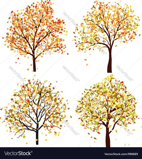 Autumn Tree Set Royalty Free Vector Image Vectorstock