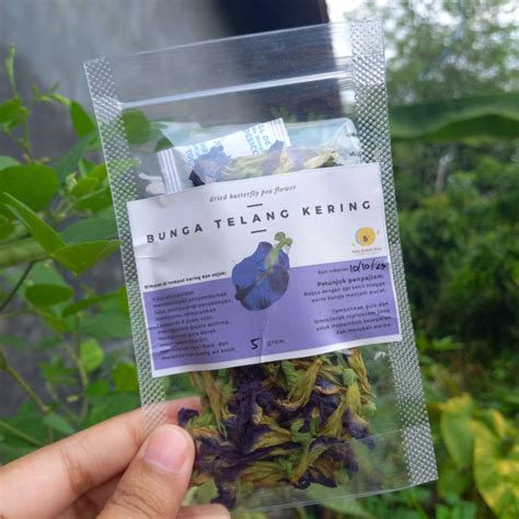 Jual BUNGA TELANG KERING Teh Bunga Biru Dry Butterfly Pea Flower