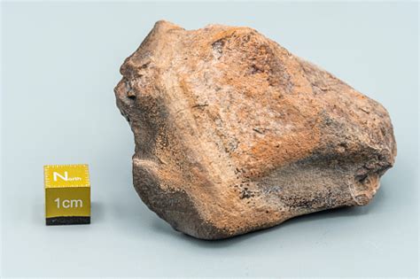콘드라이트 운석 L형은 태양계 초기 의 우주 공간에서 소행성으로 형성된 바위 조각이다 이 운석은 아타카마 사막에서 지구에 영향을