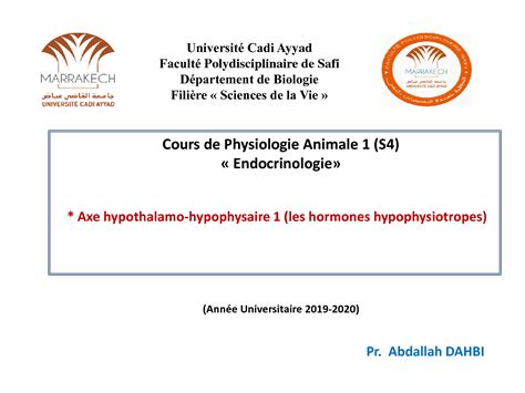 SOLUTION Axe Hypothalamo Hypophysaire Pr Dahbi Studypool
