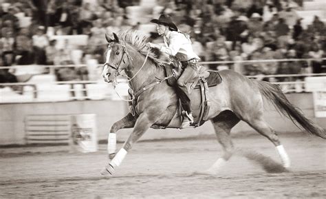 100 Barrel Racing Wallpapers