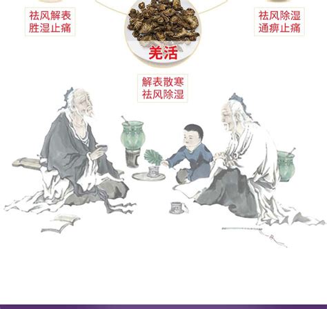 白云牧港 荆防败毒散 猪牛羊禽药鸡药清瘟败毒散兽用猪瘟清热解毒 白云牧港旗舰店 金猪商城