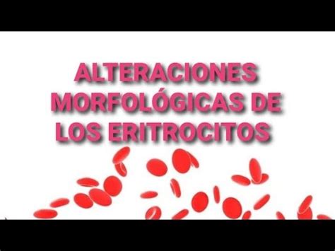 ALTERACIONES MORFOLÓGICAS ERITROCITARIAS YouTube