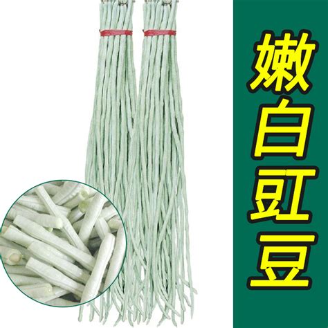 嫩白豇豆种子特长架豆白豆角种籽高产春夏秋四季播蔬菜种孑大全 虎窝淘
