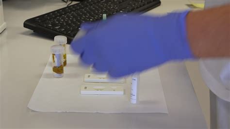 Laboratory Technician Swapping Human Stool Samples With A Small Rod Preparing It For Analysis On