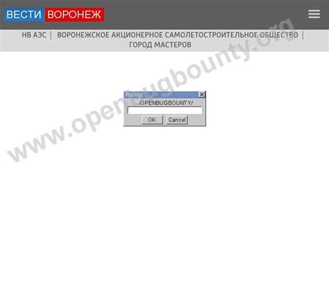 All Vulnerabilities For Vestivrn Ru Patched Via Open Bug Bounty