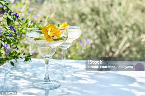 식용 Nasturtium 꽃 석회 및 민트 잎을 가진 아이스 레모네이드 상쾌한 여름 음료 건강한 유기농 여름 소다 음료 해독 물 다이어트 비 알콜 산 칵테일 진에 대한 스톡