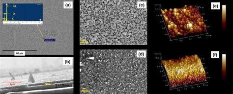 A Sem Micrograph Showing Uniform Surface Coverage By As Deposited Download Scientific Diagram