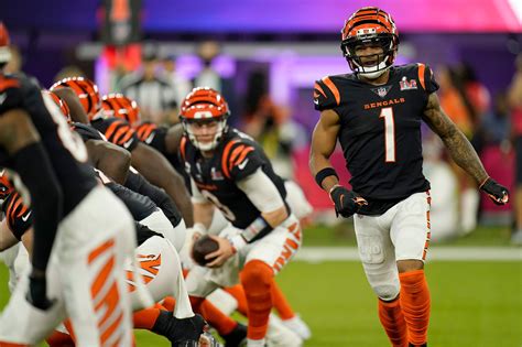 Cincinnati Bengals The Enquirer
