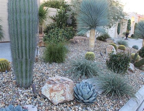 Lodi Gold River Pebbles For Stunning Landscapes