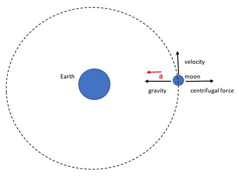 Centripetal Force Lab Diagram