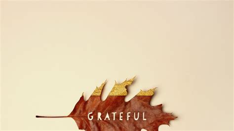 Top 999 Gratitude Quotes Images Amazing Collection Gratitude Quotes