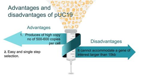 Comparison Between Different Types Of Vectors PPT