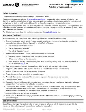Fillable Online Instructions For Completing The BCA Articles Of