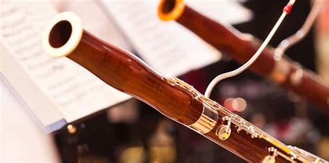 Bassoon Cleaner What Is The Best Way To Clean Your Bassoon Teds List