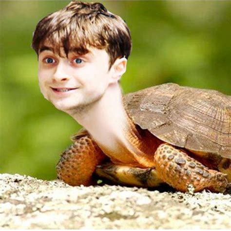 The Magical Land Of The Two Legged Mermaid Twoleggedmermaid Tumblr Blog Tumlook