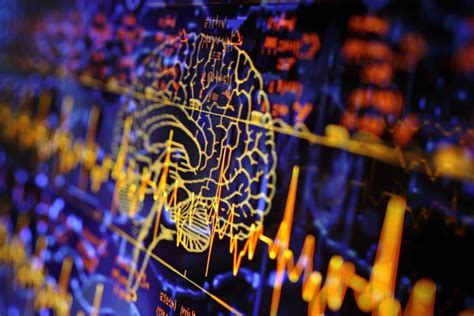 Ripples Of Recall Brain Waves Play Key Role In Memory Neuroscience News