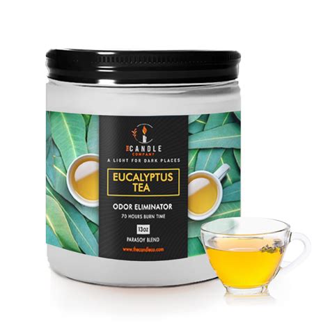 Eucalyptus Tea Candle The Candle Company