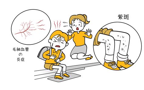 血液専門医が解説血小板とは血小板の働きと役割