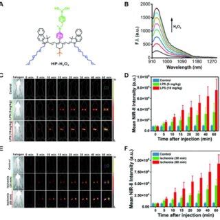The Representative Activatable NIR II Organic Fluorescent Probes