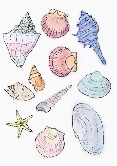 Seashells Aesthetic Pastel Wallpaper