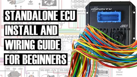 Beginner Guide To Ecu Install And Wiring Editable Wiring Diagram Download