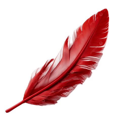 Clipart Piuma Rossa Penna Piuma Rossa Immagini Vettoriali Stock