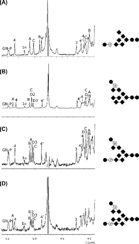 Partial One Dimensional 500 Mhz 1 H Nmr Spectra H 1 Region D 56 D