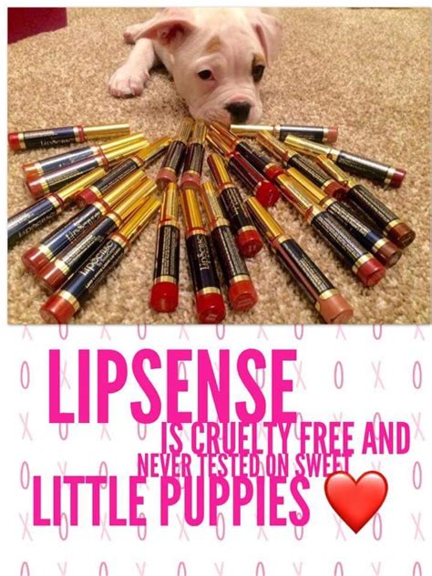 Senegence 101 Series 1 Paraben Free Products Lipsense Senegence