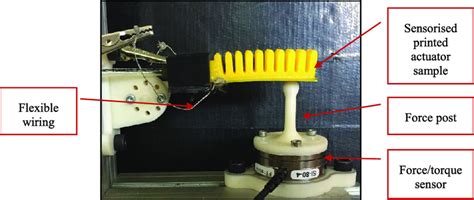 Setup For Measuring The Contact Forces Generated By The Sensorized Download Scientific