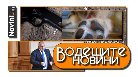 Водещите новини Прокуратурата разкри подробности за разпита на Борисов Деца стреляха по