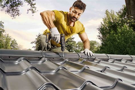 Tabla Acoperis ᐈ Hornbach