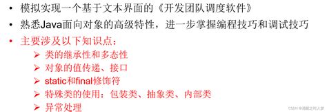 项目三——开发团队调度软件调度方向用什么编程软件 Csdn博客