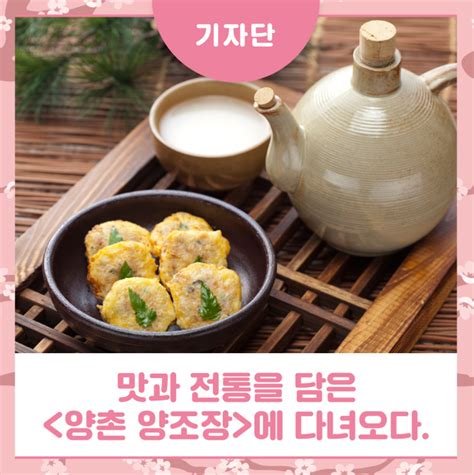 기자단 맛과 전통을 담은 〈찾아가는 양조장〉따라 양촌양조장에 다녀오다 네이버 블로그