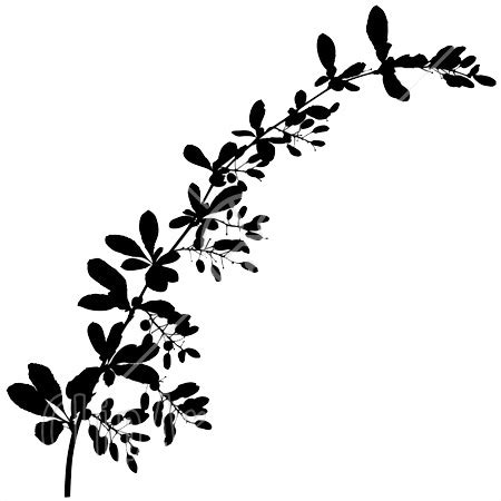 Free Tree Branch Clipart Download Free Tree Branch Clipart Png Images Free ClipArts On Clipart