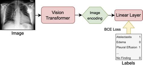 Domain Adaptation For Multi Modal Image To Text Models Inovex Gmbh
