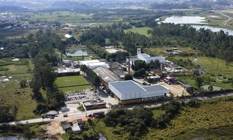 Suzano compra ativos florestais no valor de US 245 milhões no MA