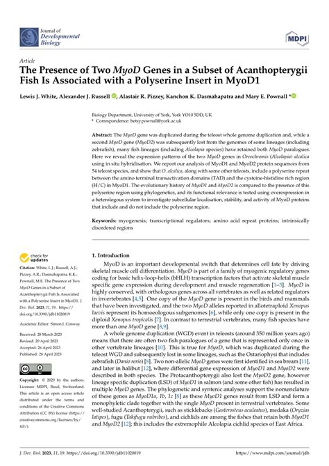 Pdf The Presence Of Two Myod Genes In A Subset Of Acanthopterygii