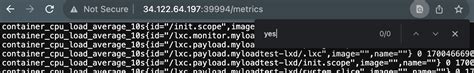Querying Process Specific Metrics From Metrics Endpoint · Issue 3429