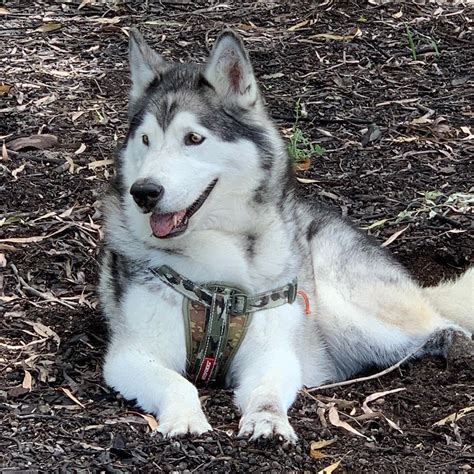 Neryl Joyce — Is There Anyone Else Out There That Cant Wait For