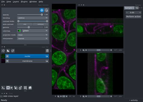 Multiple Viewer Widget — Napari