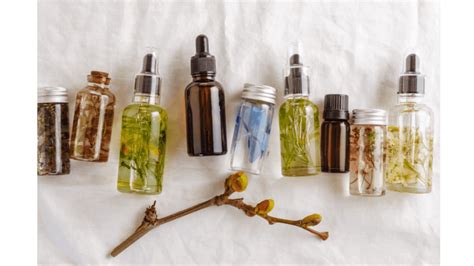 Best Ayurvedic Hair Oils For Thick And Long Hair Bodywise