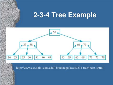 Ppt M Ary Trees Powerpoint Presentation Free Download Id5616063 Ppt M Ary Trees Powerpoint Presentation Free Download Id5616063