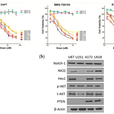 γ Secretase Inhibitors Gsis Showed Dose Dependent Growth Inhibition