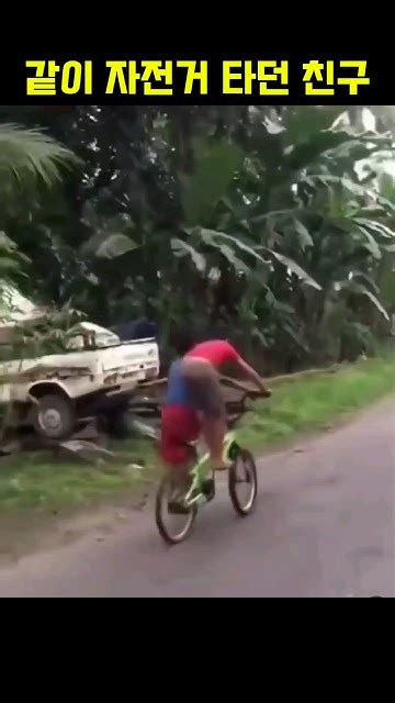 같이 자전거 타던 친구 자전거 자전거타기 친구 함께해요 Bicycle Bike 두발자전거 우정 Friends Shorts Youtube