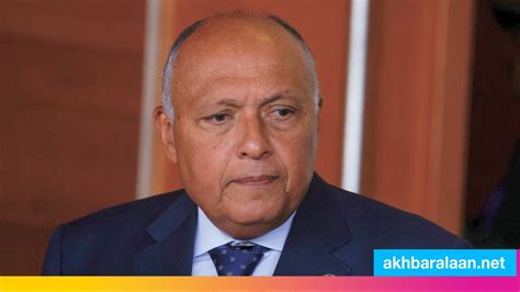 للمرة الأولى منذ عقد وزير الخارجية المصري يزور سوريا وتركيا